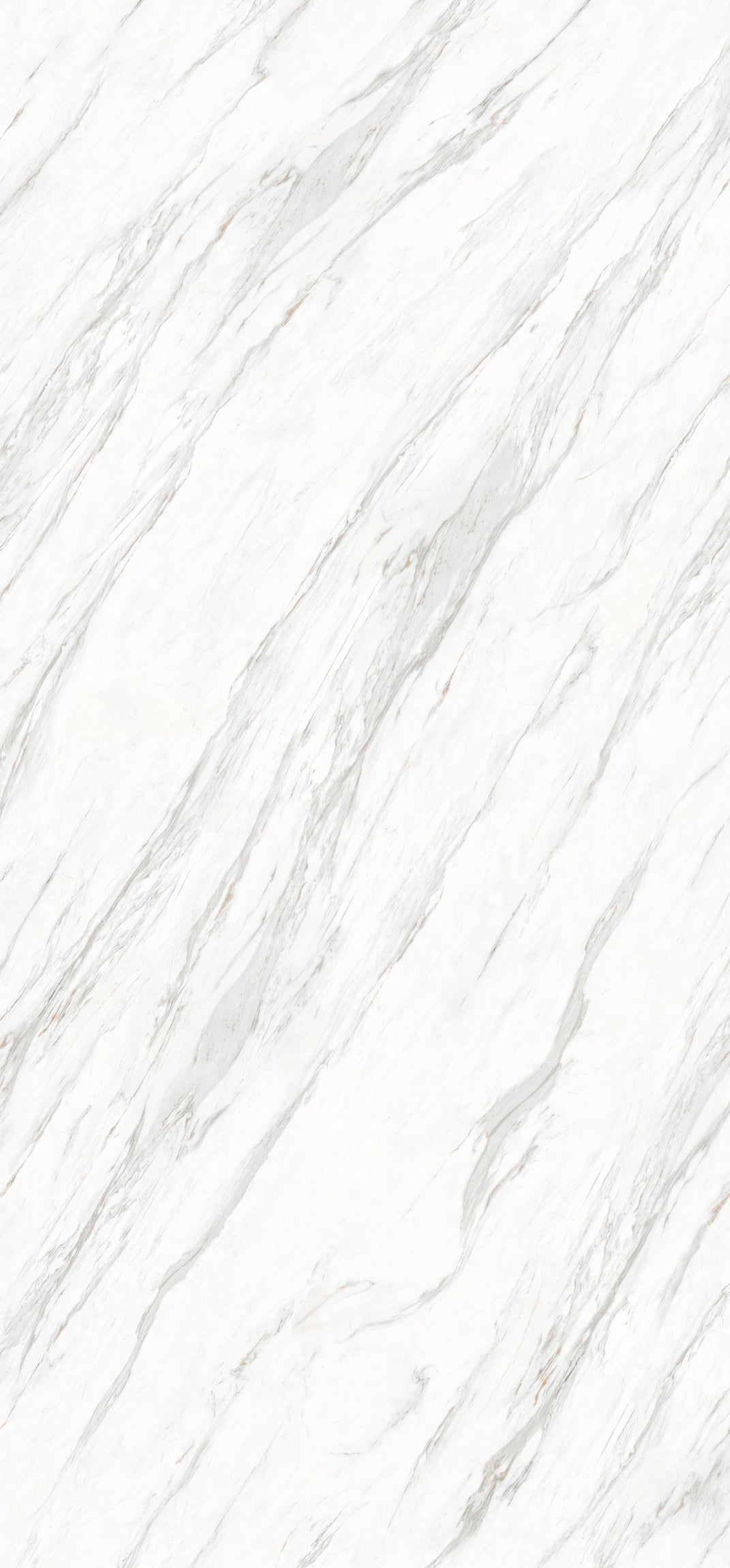 Lauren White – JUCHI EU